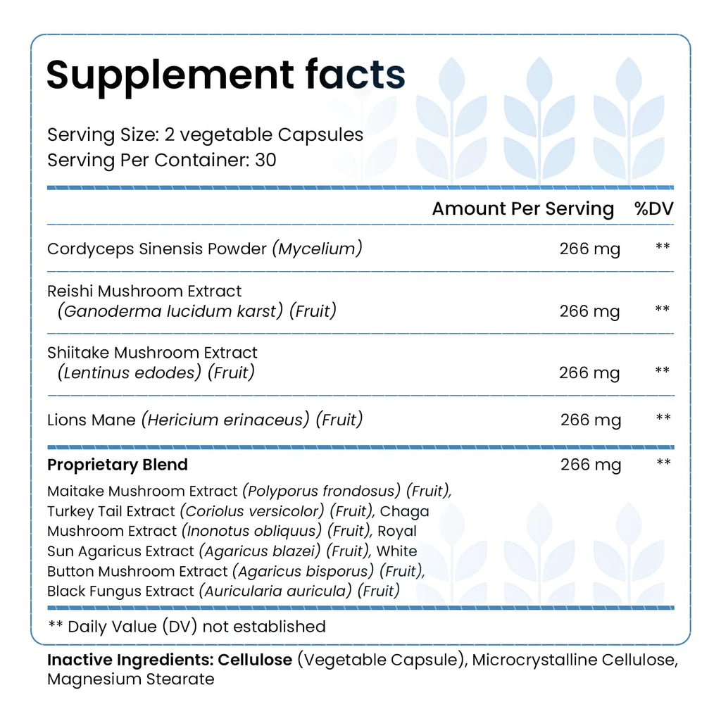Nootropics brain support with mushrooms