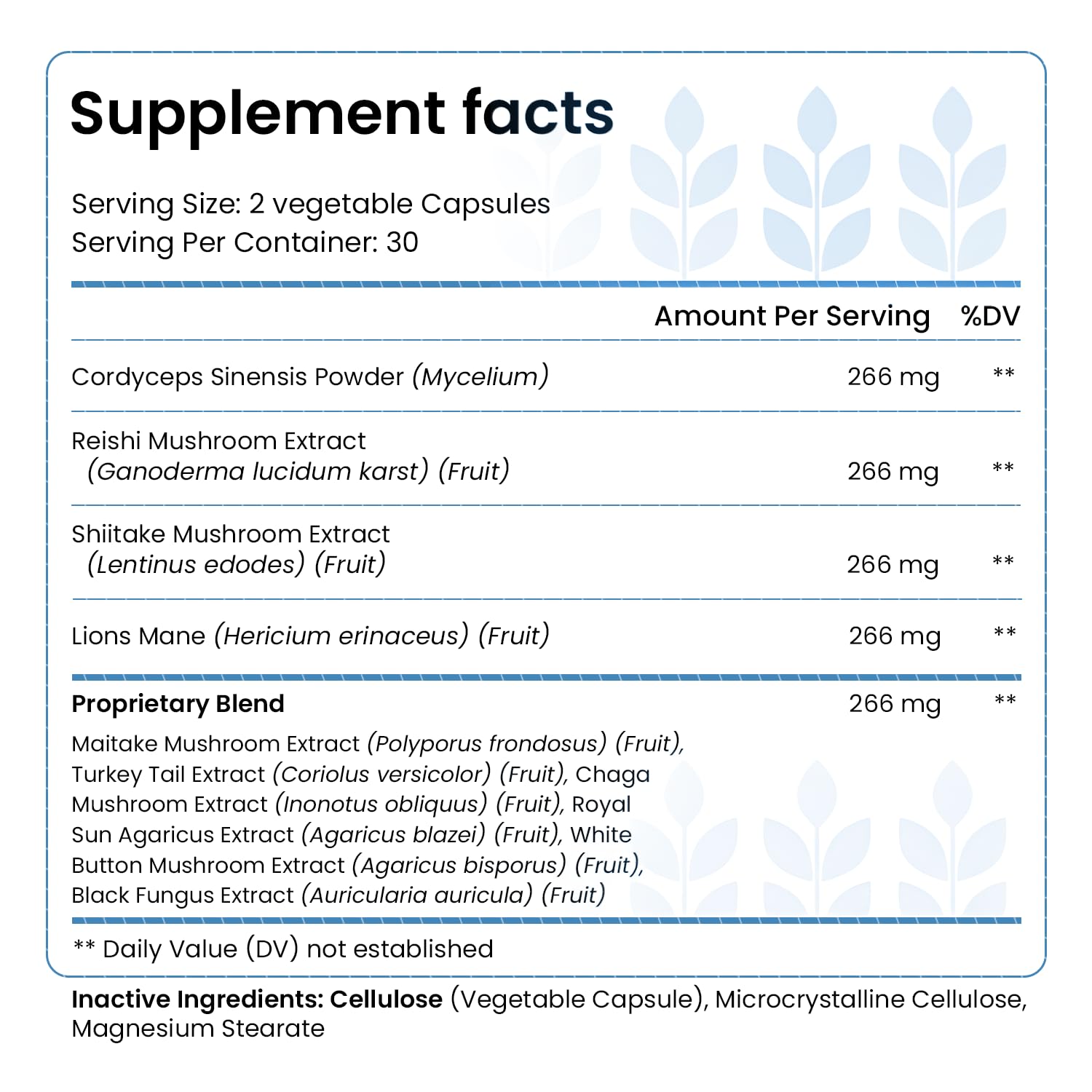 Nootropics brain support with mushrooms