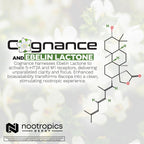 Nootropics Depot Bacopa benefits