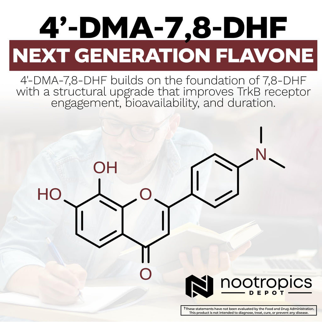 Nootropics Depot blended supplements for brain health