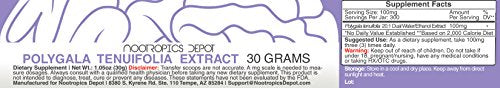 Nootropics Depot brain health powder