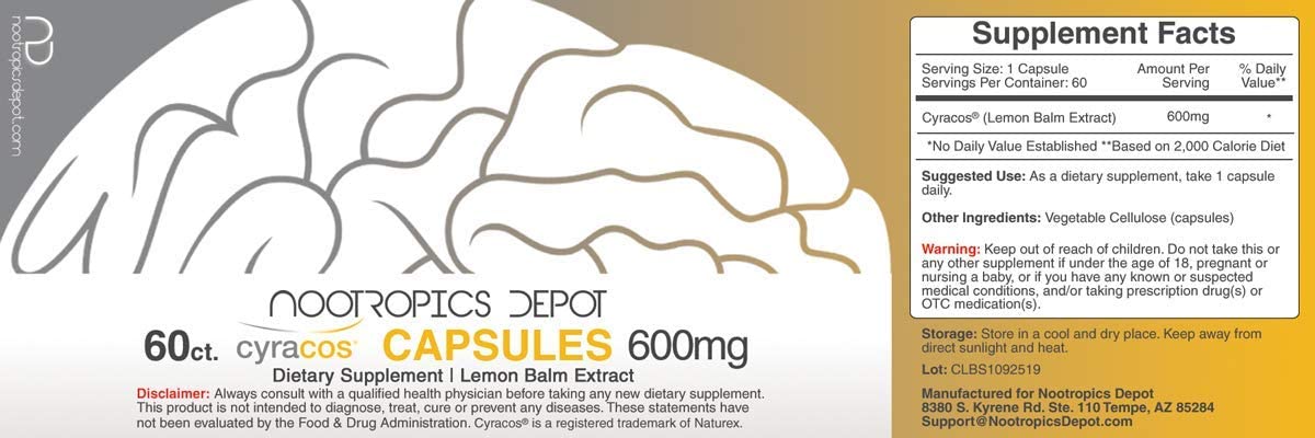 Nootropics Depot brain health support