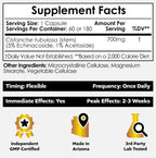 Nootropics Depot endurance supplement