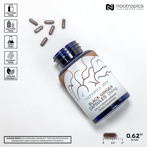 Nootropics Depot ginger extract