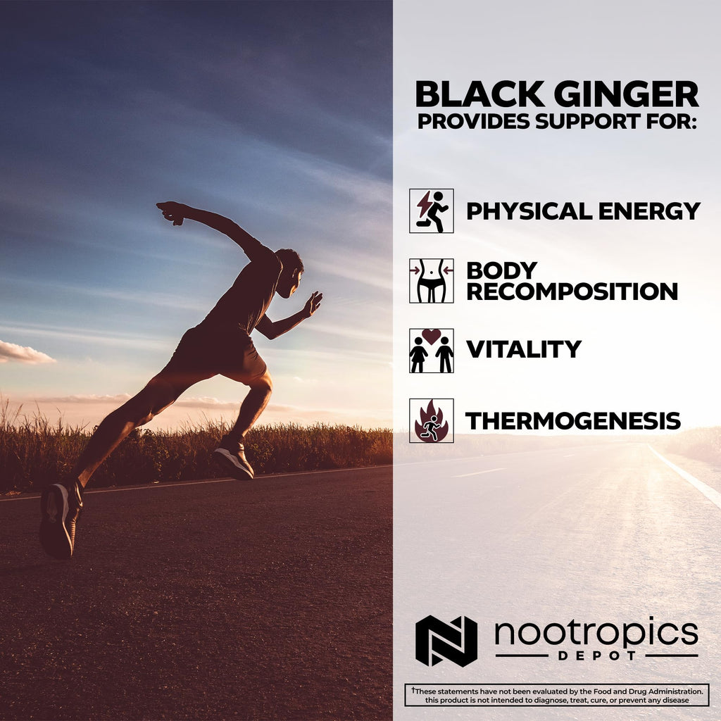 Nootropics Depot ginger for vitality