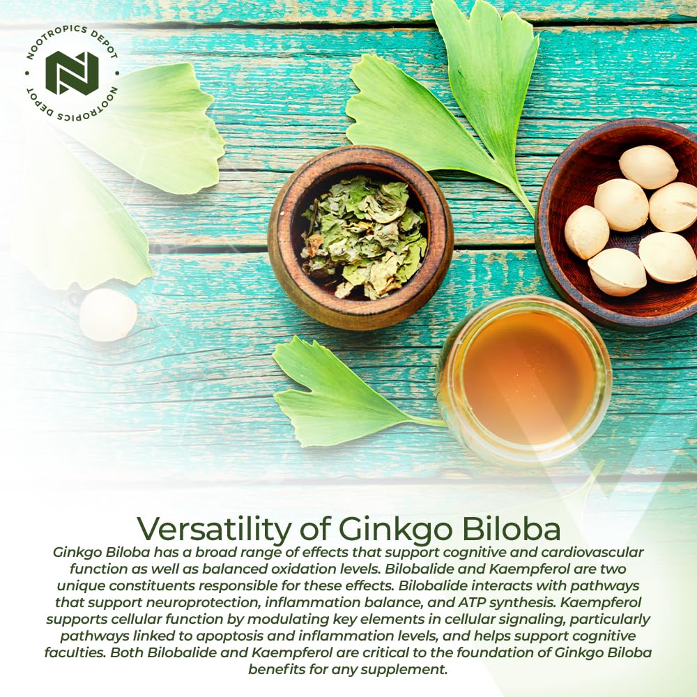 Nootropics Depot ginkgo biloba for focus
