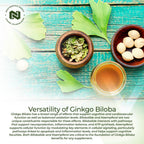 Nootropics Depot ginkgo biloba for focus