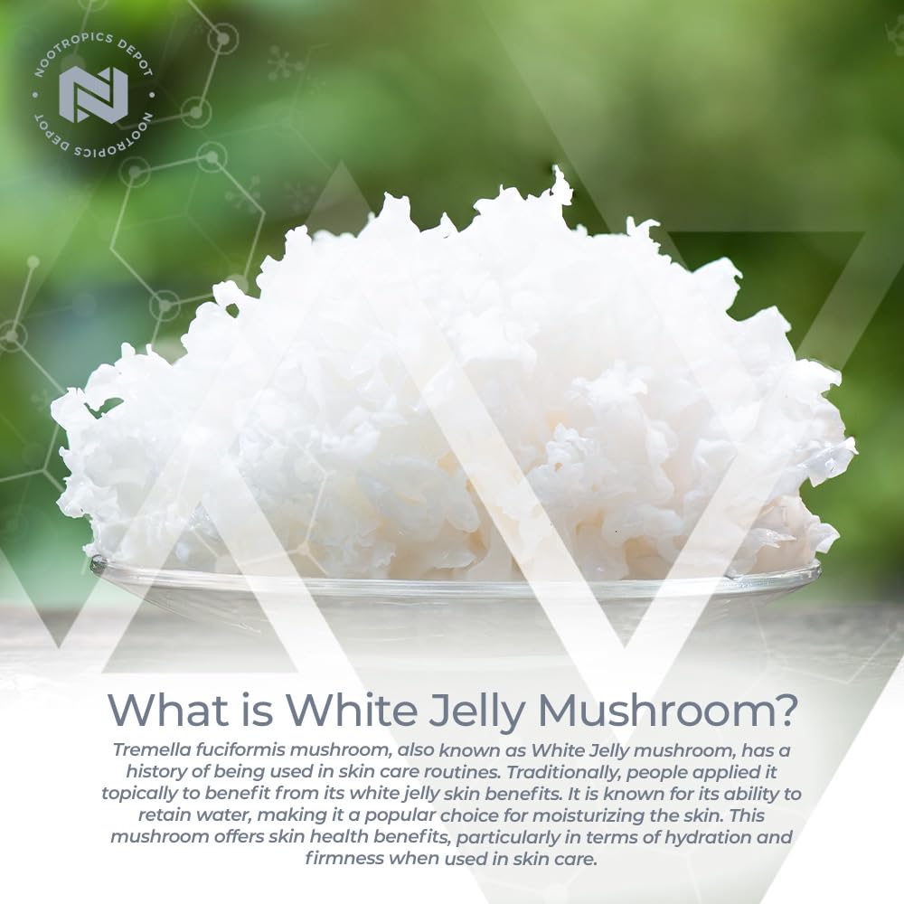 Nootropics Depot herbal mushroom formula