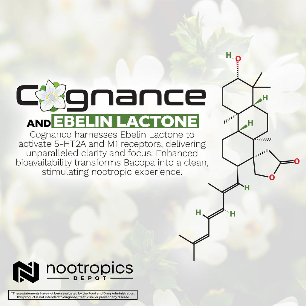 Nootropics Depot herbal supplement