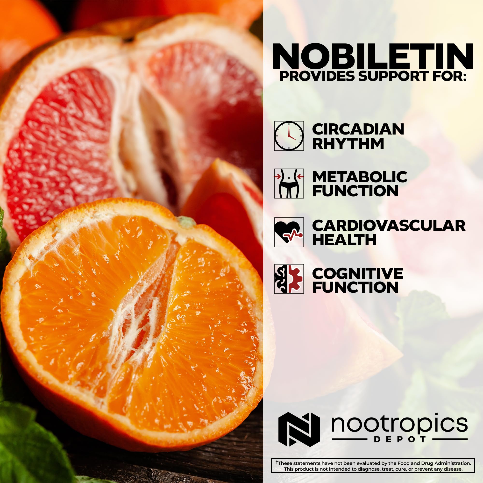 Nootropics Depot Nobiletin energy enhancement