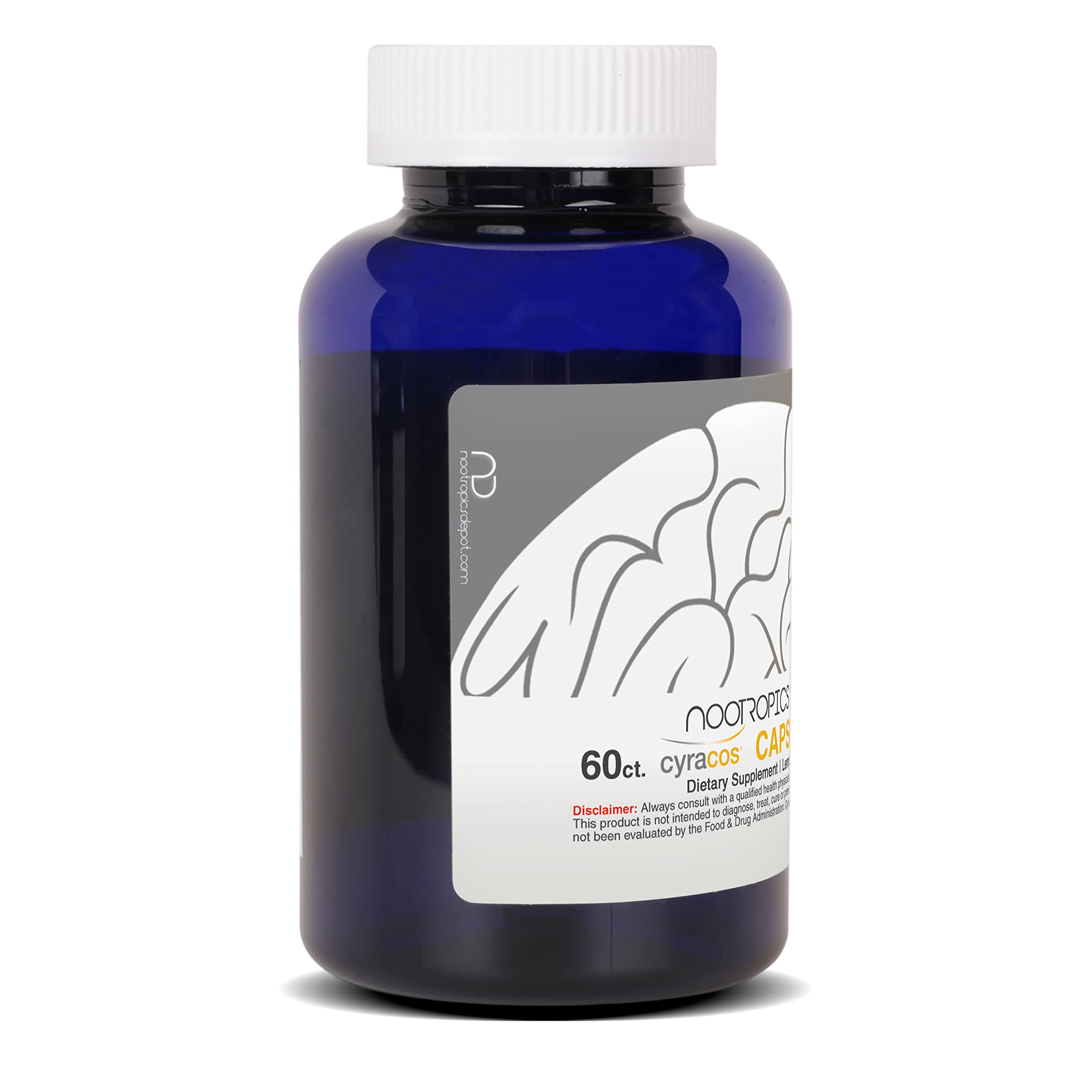 Nootropics Depot sleep cycle support