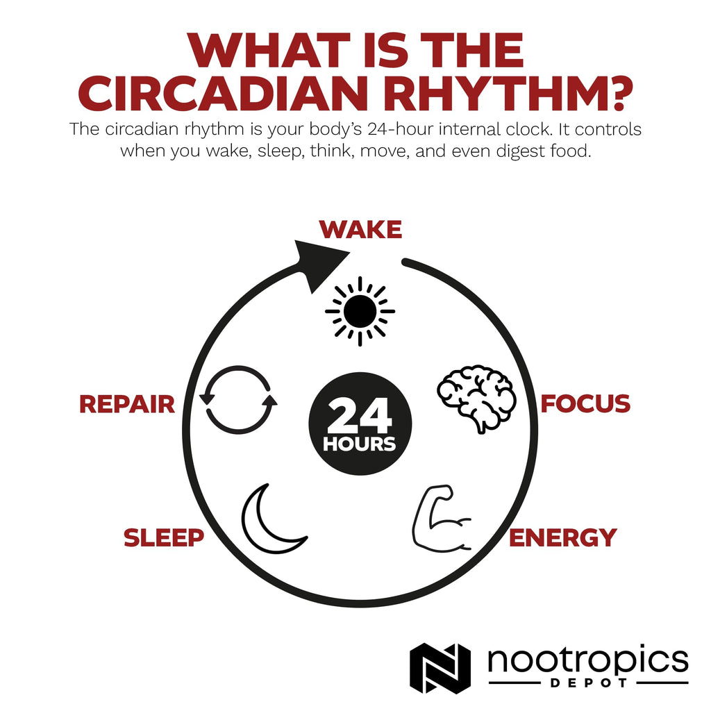 Nootropics Depot supplements for mental clarity