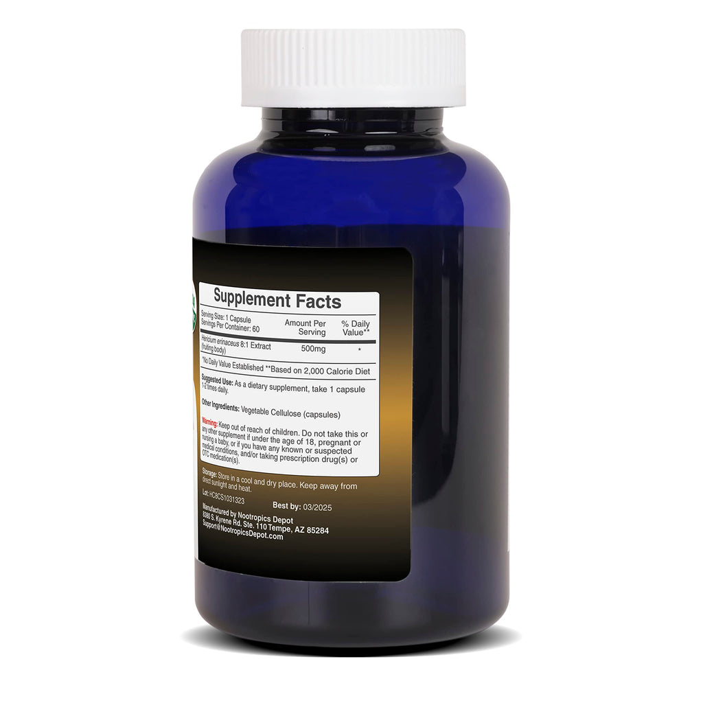 Nootropics for enhanced creativity mushrooms