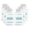 Nootropics mushrooms for cognitive health