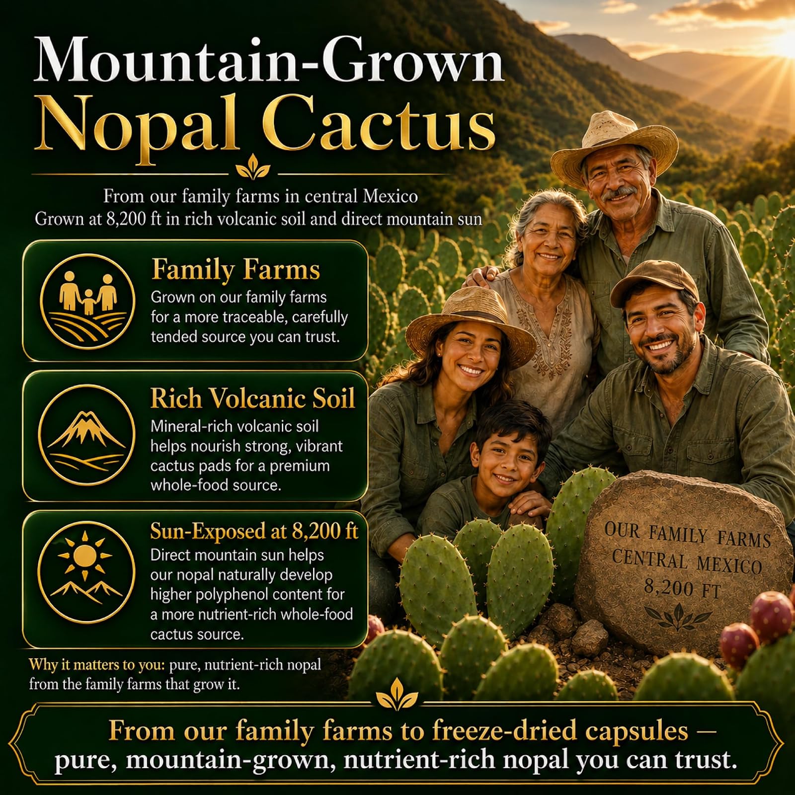 Nopal cactus for kids' nutritional support
