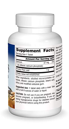 nopal cactus health benefits