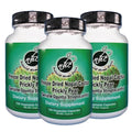 Nopal cactus multivitamins for energy