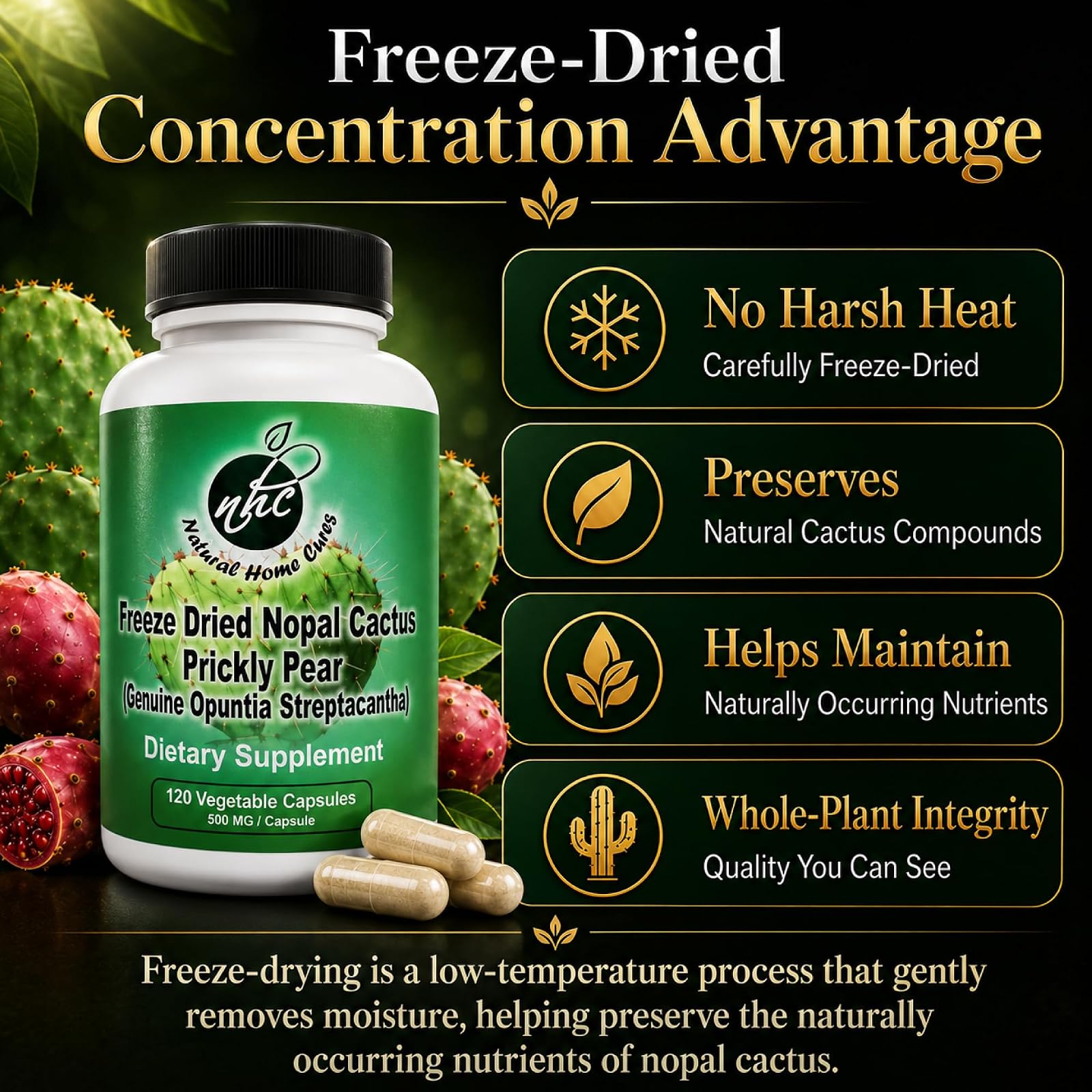 Nopal cactus supplement for digestive health