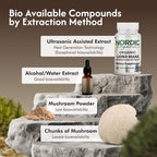 Nordic Organic mushroom supplement