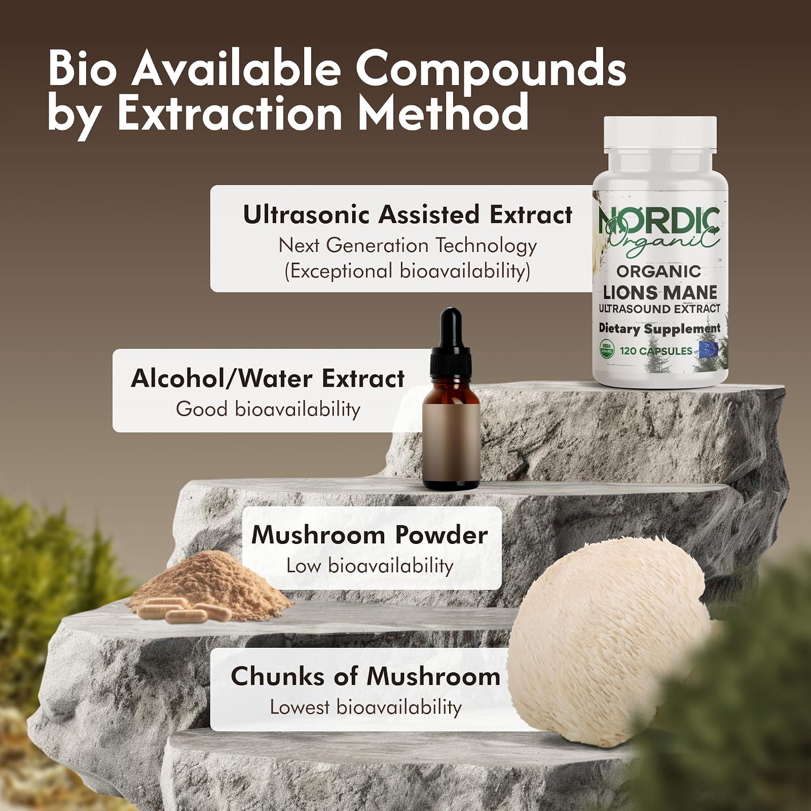 Nordic Organic mushroom supplement