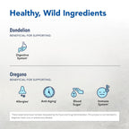 NORTH AMERICAN HERB detox capsules