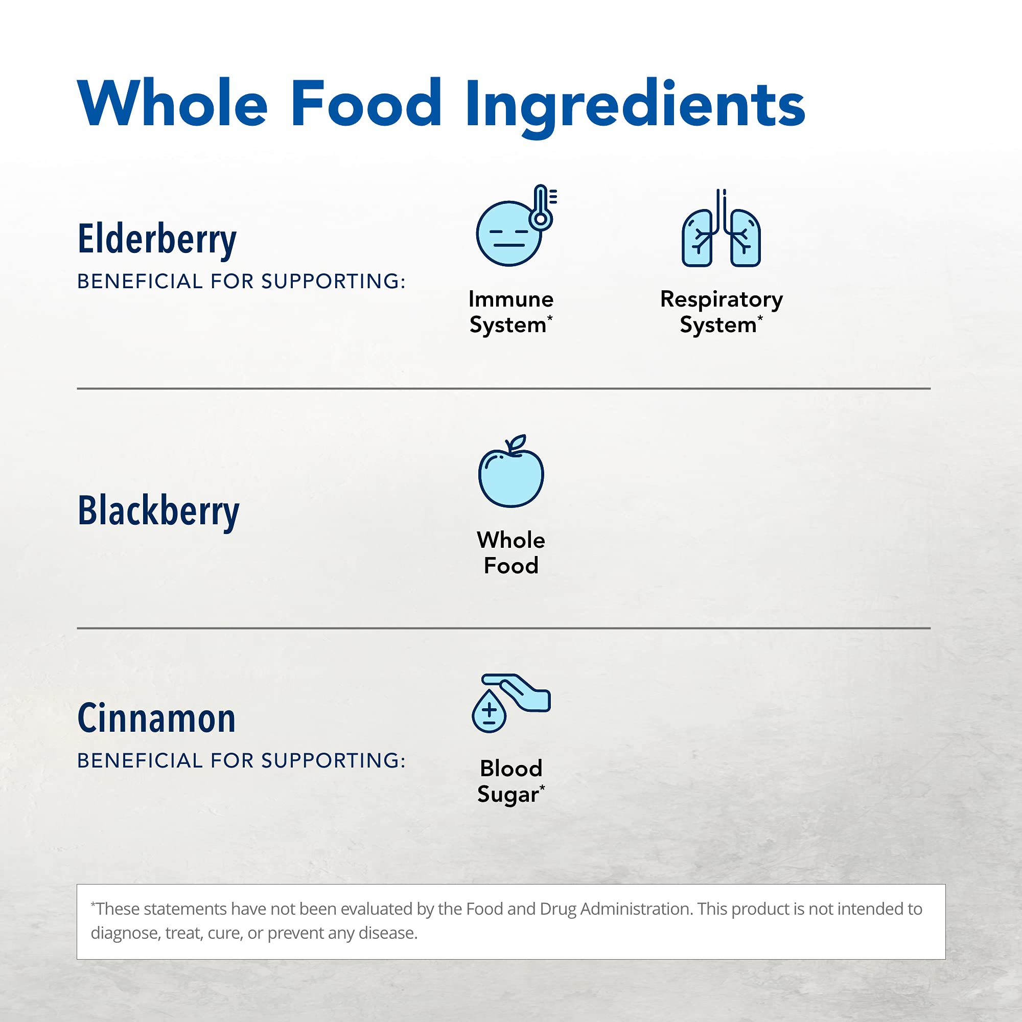 NORTH AMERICAN HERB elderberry 88 servings