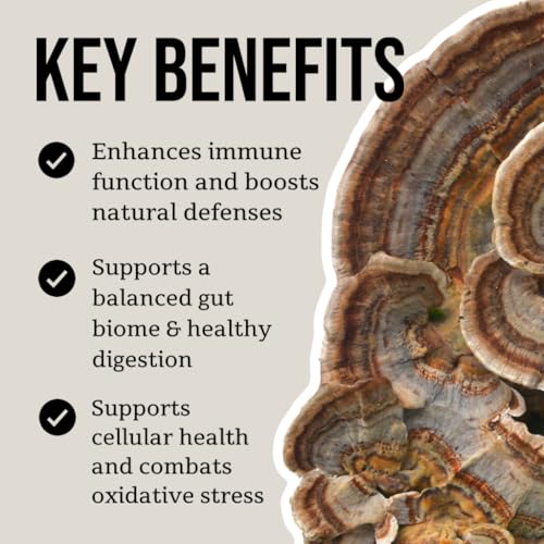 North Spore herbal mushrooms for vitality