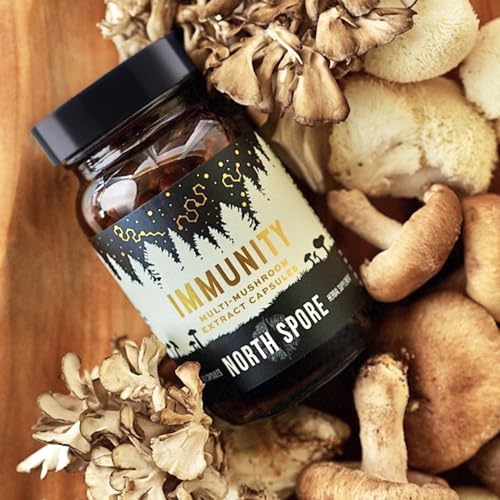 North Spore mushroom capsules for wellness