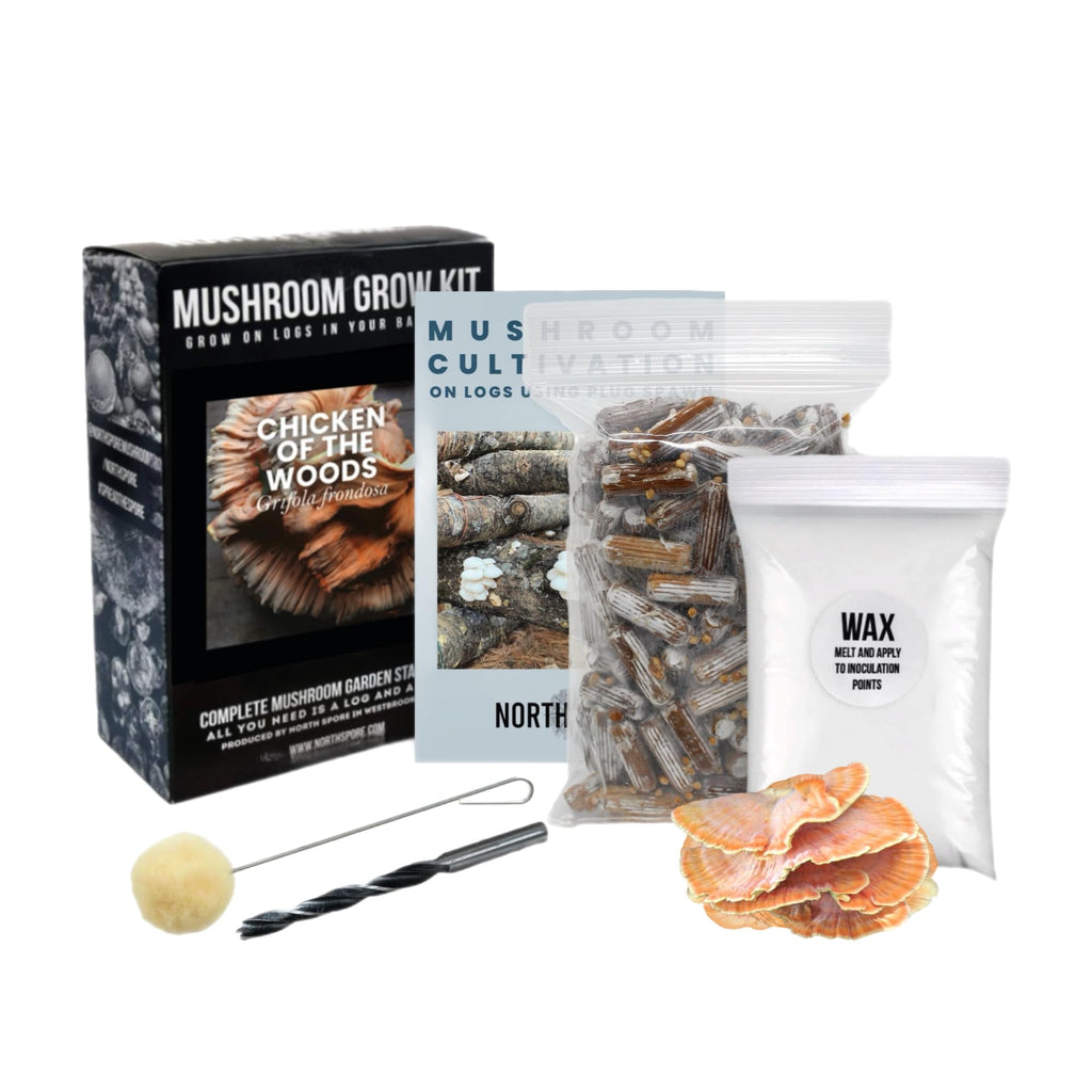 North Spore mushroom grow kit