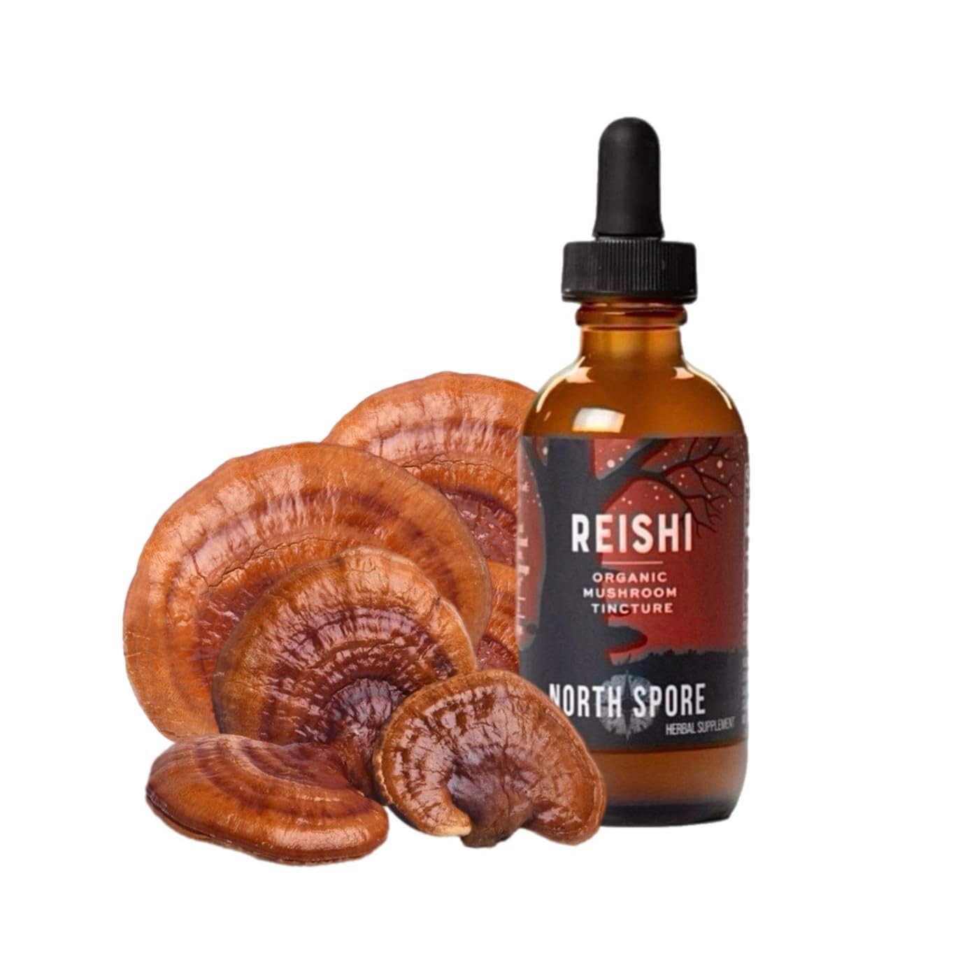 North Spore organic reishi tincture benefits