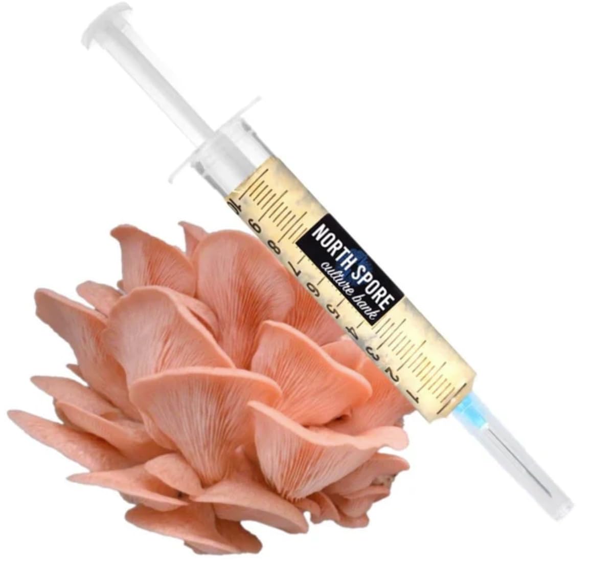 North Spore pink oyster culture syringe