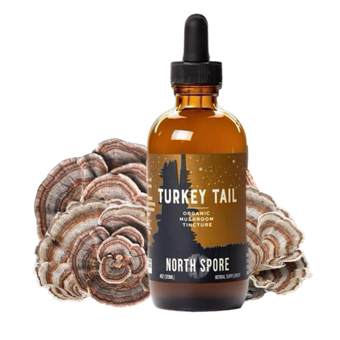 North Spore turkey tail tincture benefits