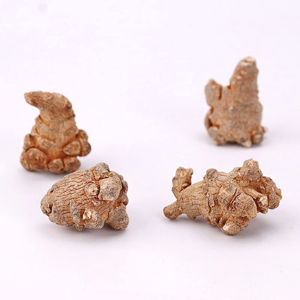 notoginseng root for energy