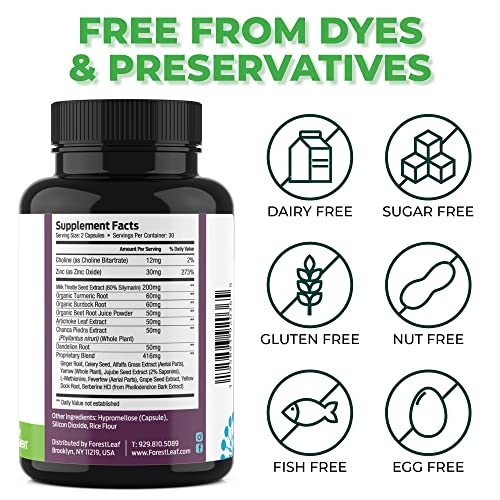 nourish your liver with milk thistle