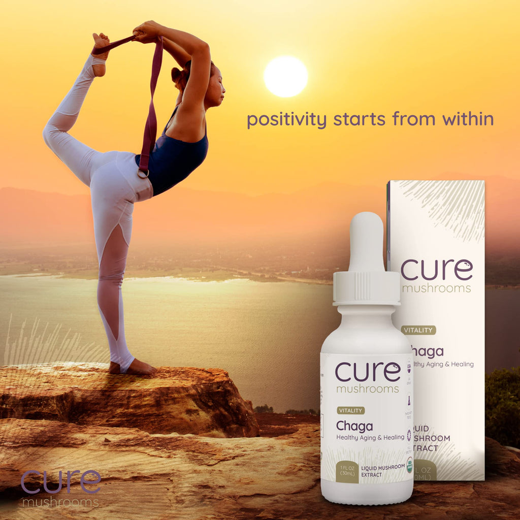 nourishing chaga tincture benefits