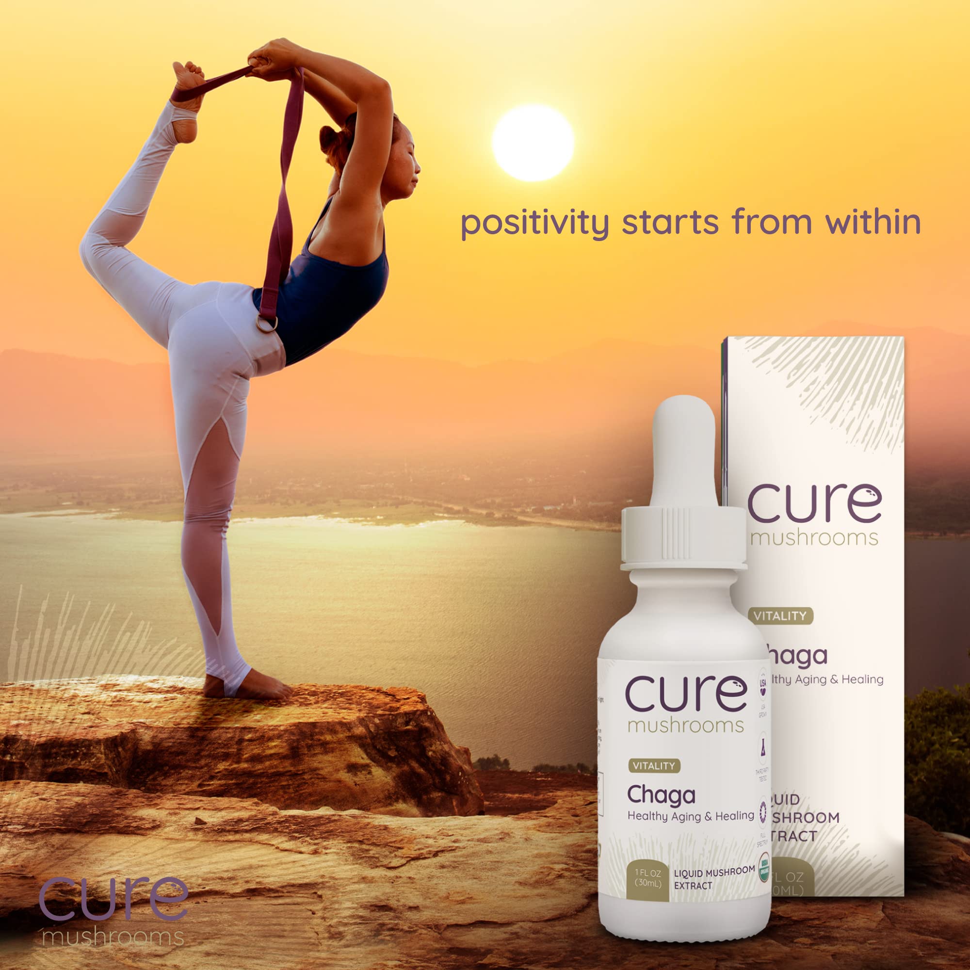 nourishing chaga tincture benefits