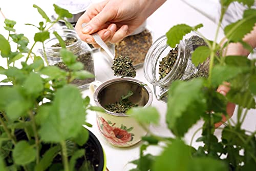 nourishing herbal tea for health