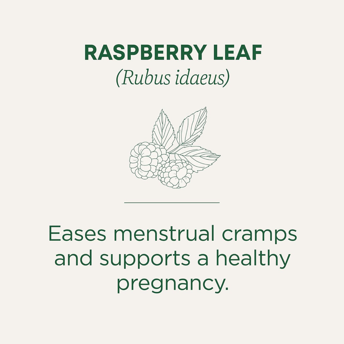 nourishing herbal tea for women