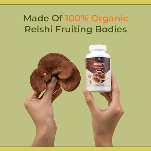 nourishing mushrooms for daily health