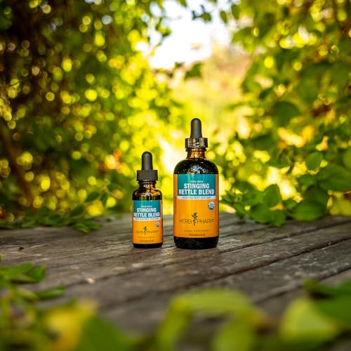 nourishing nettle extract for daily use