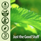 nourishing nettle extract for healthy skin