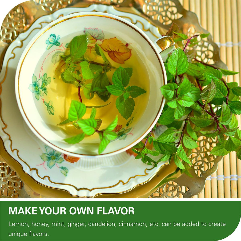 nourishing nettle leaf herbal infusion