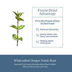 nourishing nettle root extract capsules