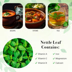nourishing nettle tea for relaxation