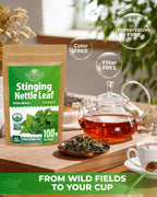 nourishing nettle tea for wellness
