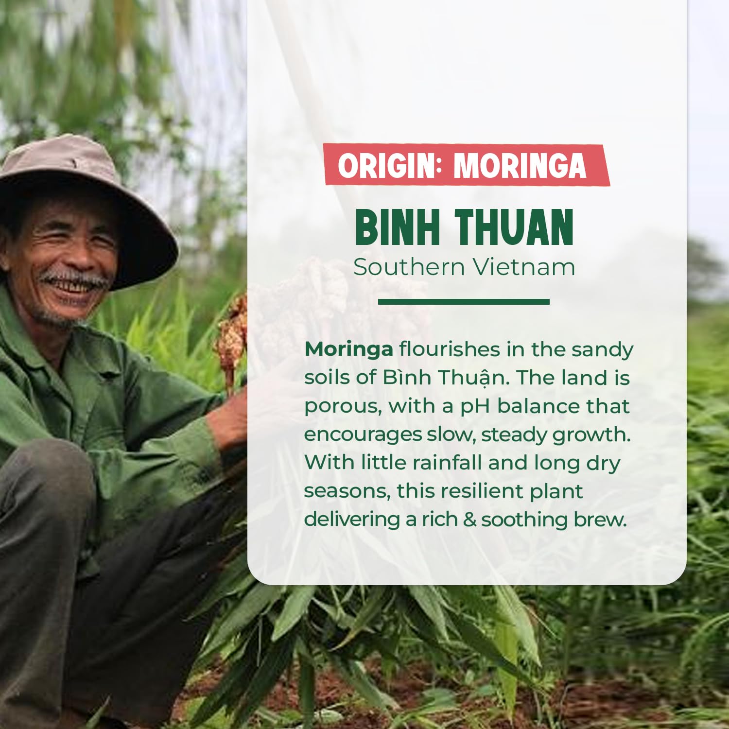 Nourishing tea blend for vitality