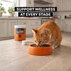 NOVEHA L-Lysine for stress relief and wellness