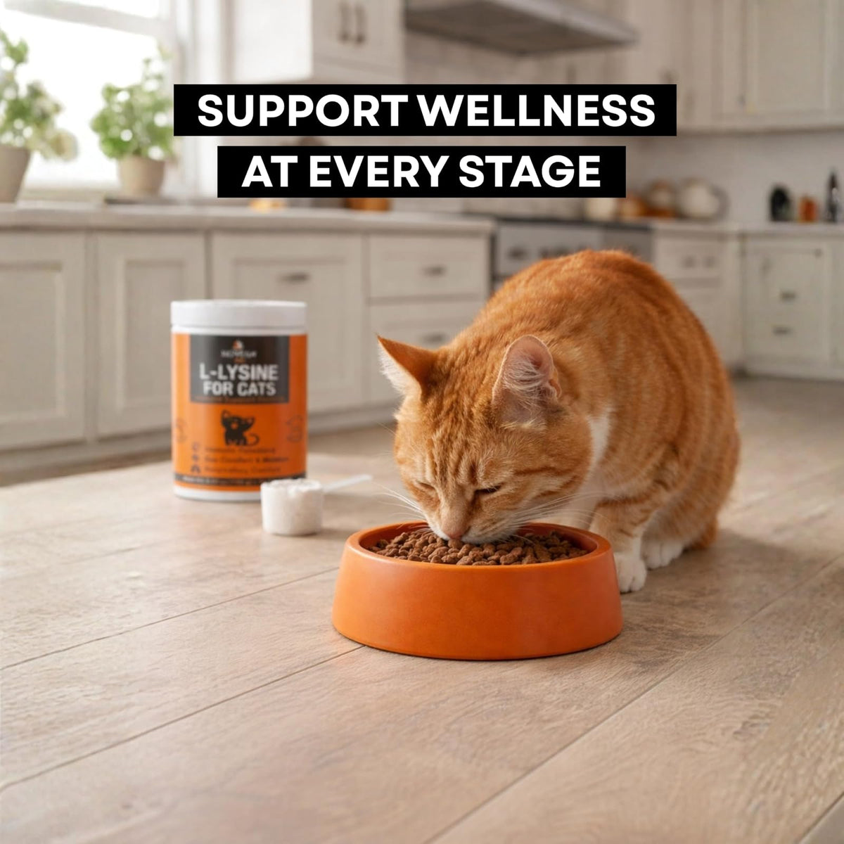 NOVEHA L-Lysine for stress relief and wellness