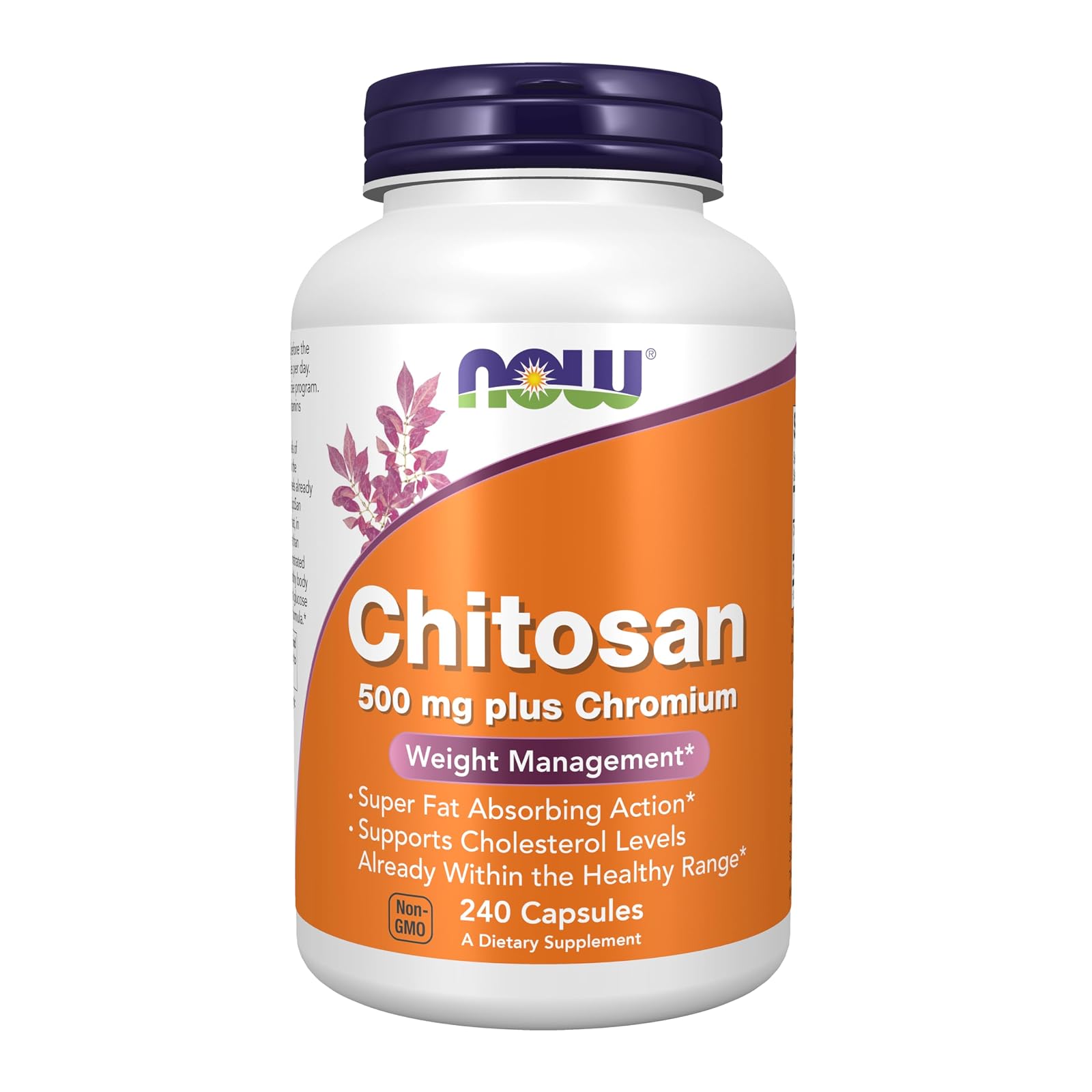 NOW Chitosan 500 mg capsules