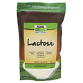 NOW Foods lactose digestive enzyme supplement